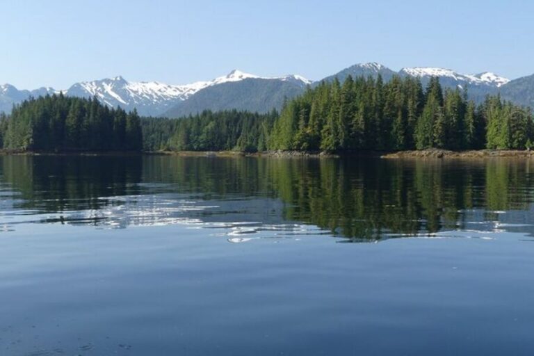 Ketchikan: Scenic Drive & George Inlet Fjords Zodiac Cruise - The Zodiac Cruise: Up Close with Nature