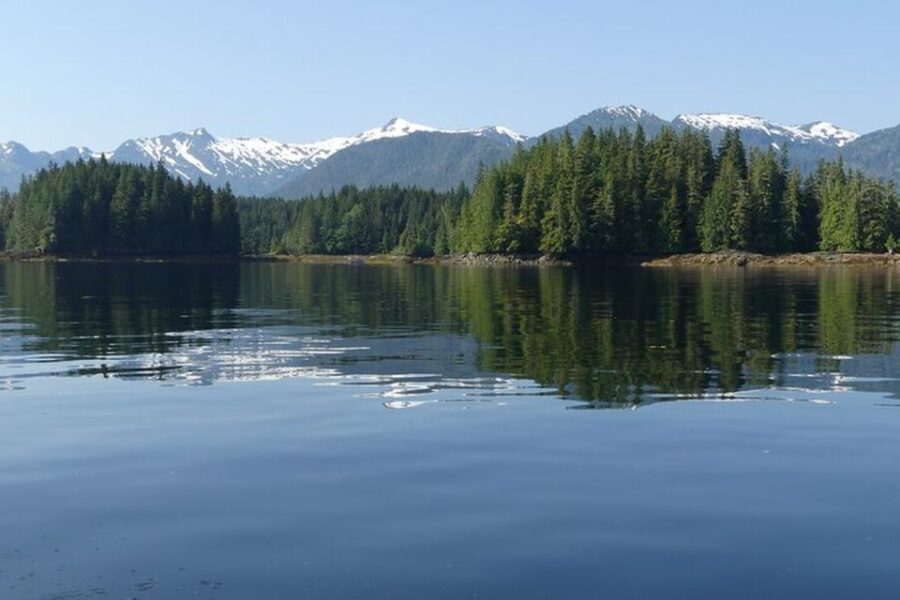 Ketchikan: Scenic Drive & George Inlet Fjords Zodiac Cruise - The Zodiac Cruise: Up Close with Nature