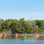 Key West Afternoon Sail, Snorkel, Kayak & Sunset Excursion - What Makes This Tour Stand Out