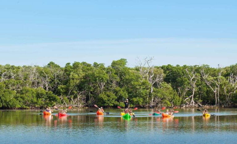 Key West Afternoon Sail, Snorkel, Kayak & Sunset Excursion - What Makes This Tour Stand Out