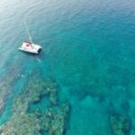 Key West: Reef Snorkel Morning Tour with Breakfast & Mimosas - Reaching the Reef: What You Can Expect