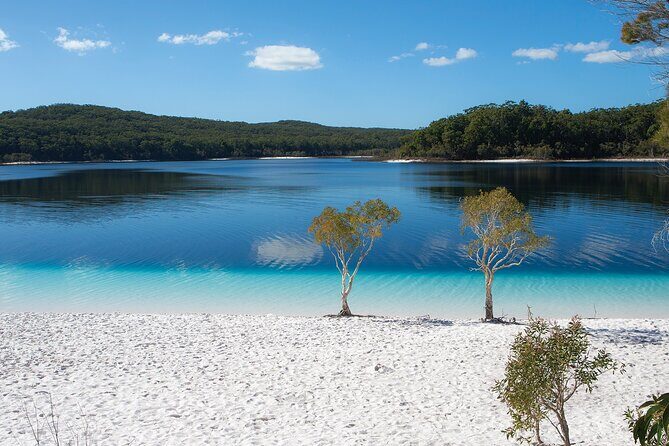 K'gari (Fraser Island) All Inclusive Day Tour - What to Expect on the Day