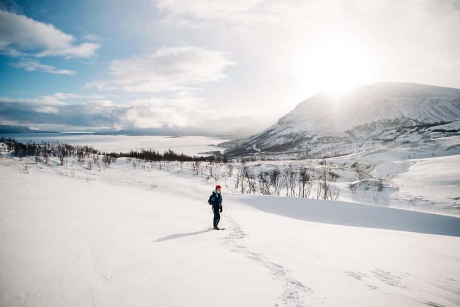 Kiruna: Daytime Snowshoe Hike - The Itinerary: What Does the Day Look Like?