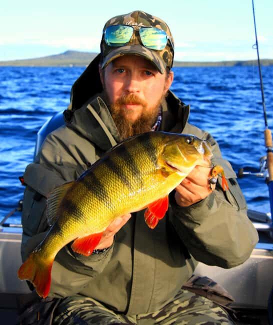 Kiruna: Lapland Fishing Tour with Guide, Gear and Lunch - Introduction
