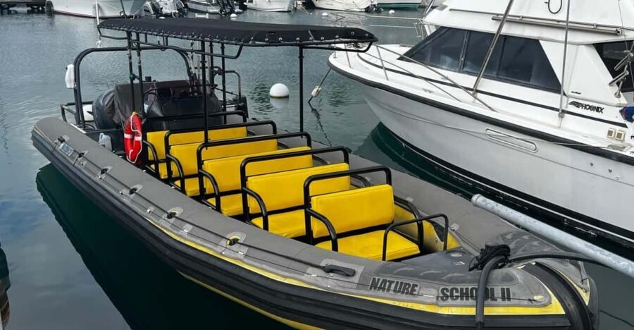 Kona Hi, Sunset Manta Ray Tour 10 passengers maximum - Who Will Love This Tour?
