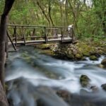 Konavle Private Countryside Experience with Wine & Spirits - An Introduction to the Konavle Countryside