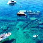 Korula - Private Boat Tour - Swimming & Snorkeling - A Deeper Look at the Korcula Private Boat Experience