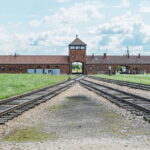 Krakow: Auschwitz-Birkenau Guided Tour with Pickup - Analyzing the Value and Practicalities