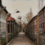 Krakow: Auschwitz-Birkenau Guided Tour with Transport & Host - Analyzing the Value and Cost