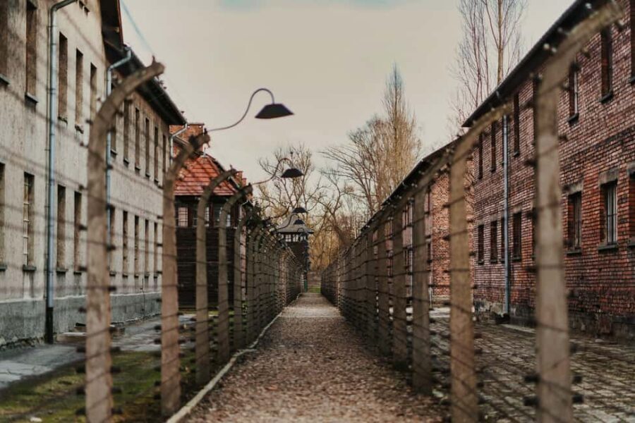Krakow: Auschwitz-Birkenau Guided Tour with Transport & Host - Analyzing the Value and Cost
