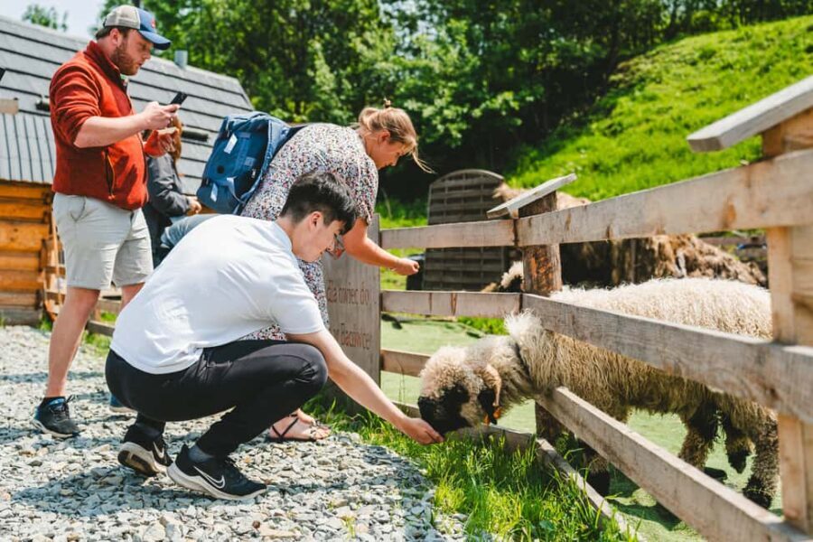 Krakow: Zakopane Day Trip with Funicular & Thermal Pools - Inside the Experience: What to Expect