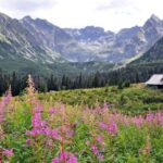 Krakow: Zakopane Horseback Ride & Cheese Tasting & Cable Car - How Do We Rate the Value?