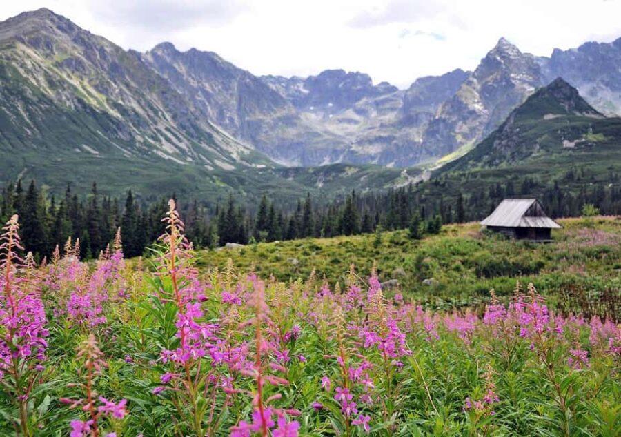 Krakow: Zakopane Horseback Ride & Cheese Tasting & Cable Car - How Do We Rate the Value?