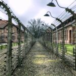 Krakow:Guided Auschwitz-Birkenau Tour - Transport by Minivan - Transportation and Logistics: Why They Matter