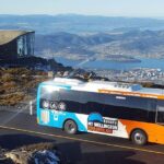 kunanyi/Mt Wellington Explorer Bus - One Way Tour - Authentic Experiences and Real-World Insights