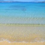 Kusadas National Park Boat Tour - Authentic Experiences and Real Traveler Insights