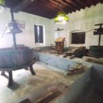 La Geria: a walk among volcanoes and vineyards - Exploring La Geria: Landscape and History