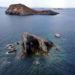 La Manga: Boat trip across two seas to Isla Grosa and Islote Farallón - Highlights of the Trip