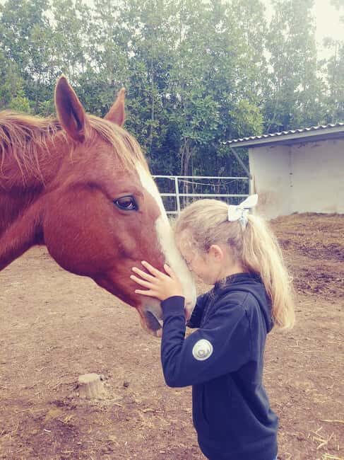 La Orotava: Workshop "Natural Horsemanship" and Permaculture - An Authentic Encounter with Nature and Horses in La Orotava