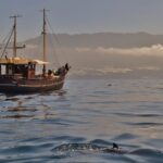 La Palma: 4 Stunden Bussard Classic Tour - Warum diese Tour zu empfehlen ist