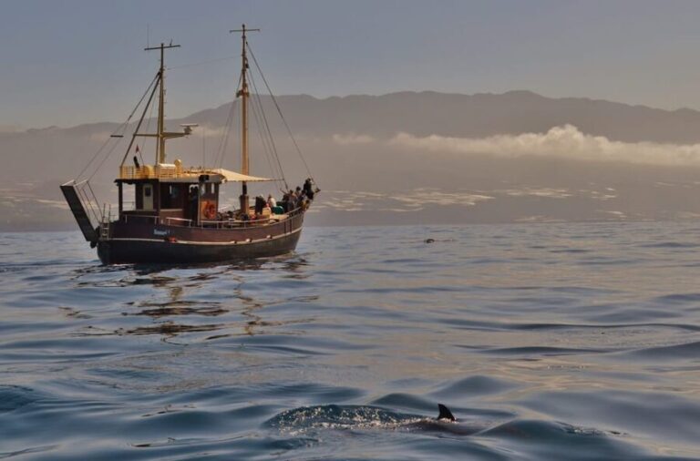 La Palma: 4 Stunden Bussard Classic Tour - Warum diese Tour zu empfehlen ist