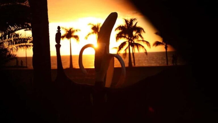 La Palma: PlatanoLógico Edible Forest Tour - A Detailed Look at the PlatanoLógico Edible Forest Tour