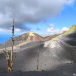 La Palma: Tajogaite Volcano Guided Hike ( ES-ED ) - The Highlights in Detail