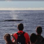 La Palma: Whale Watching Experience and Coastal Highlights - Final Thoughts
