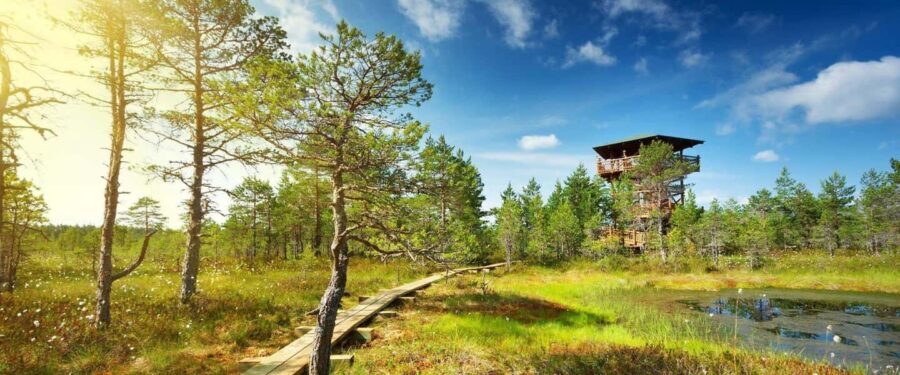 Lahemaa: VIP Tour to Estonias Oldest National Park - Final Thoughts
