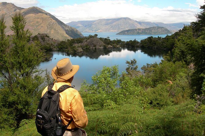 Lake Cruise & Mou Waho Island Nature Walk - Practical Details: What to Expect