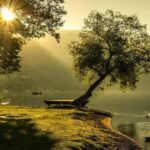 Lake District Tour and Windermere Cruise from Manchester - What We Think About the Experience