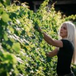 Lake Garda: Corvina Wine Tasting with Vineyard Walk - What to Expect: An In-Depth Look at the Tour Experience