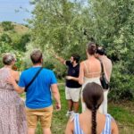Lake Garda: Tour with 4 Olive Oil Tasting & Local Food - What Sets This Tour Apart?