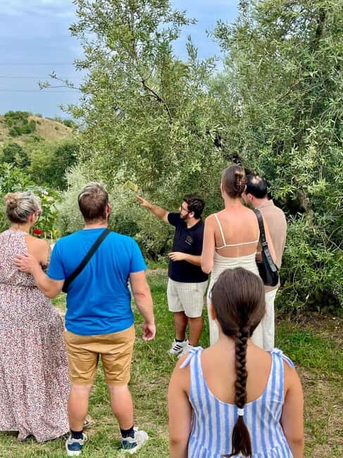 Lake Garda: Tour with 4 Olive Oil Tasting & Local Food - What Sets This Tour Apart?