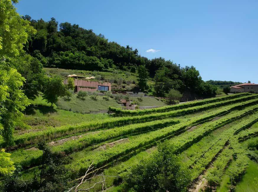 Lake Garda: Winery Tour and Wine Tasting in Valpolicella - The Sum Up