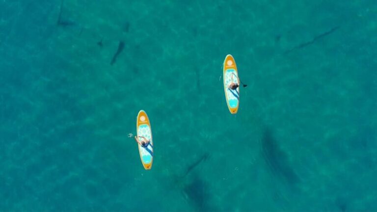 Lake Mead: Paddle Board Rental - An In-Depth Look at the Lake Mead Paddleboard Adventure