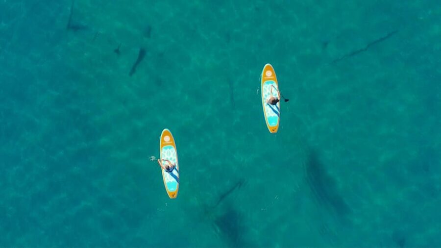 Lake Mead: Paddle Board Rental - An In-Depth Look at the Lake Mead Paddleboard Adventure