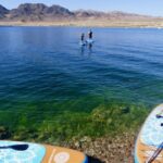 Lake Mead Paddle Board Tour (Private) - Wildlife Watching: A Highlight