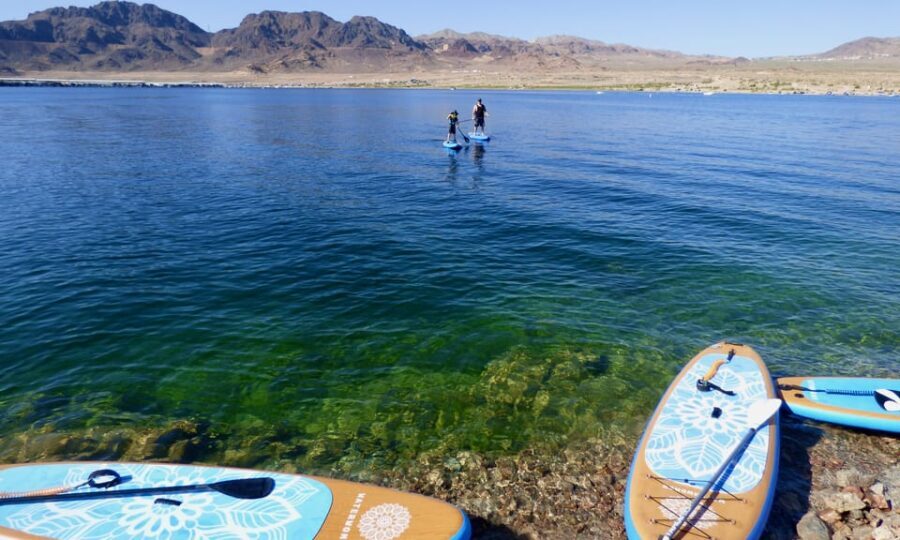 Lake Mead Paddle Board Tour (Private) - Wildlife Watching: A Highlight