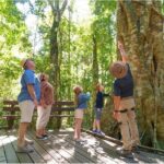 Lamington National Park, O'Reilly's & Vineyard Tour - Who Is This Tour Best Suited For?