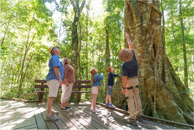 Lamington National Park, O'Reilly's & Vineyard Tour - Who Is This Tour Best Suited For?