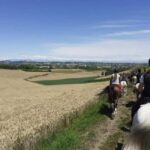 Langhe: Horse Riding in the Vineyards - The Value of This Experience