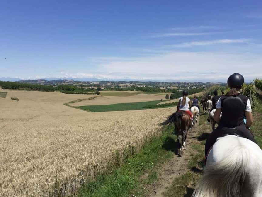 Langhe: Horse Riding in the Vineyards - The Value of This Experience