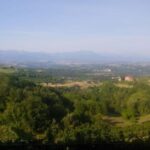 Langhe: Visit to the Vineyard and Historic Cellars with Tasting - Why This Tour Stands Out