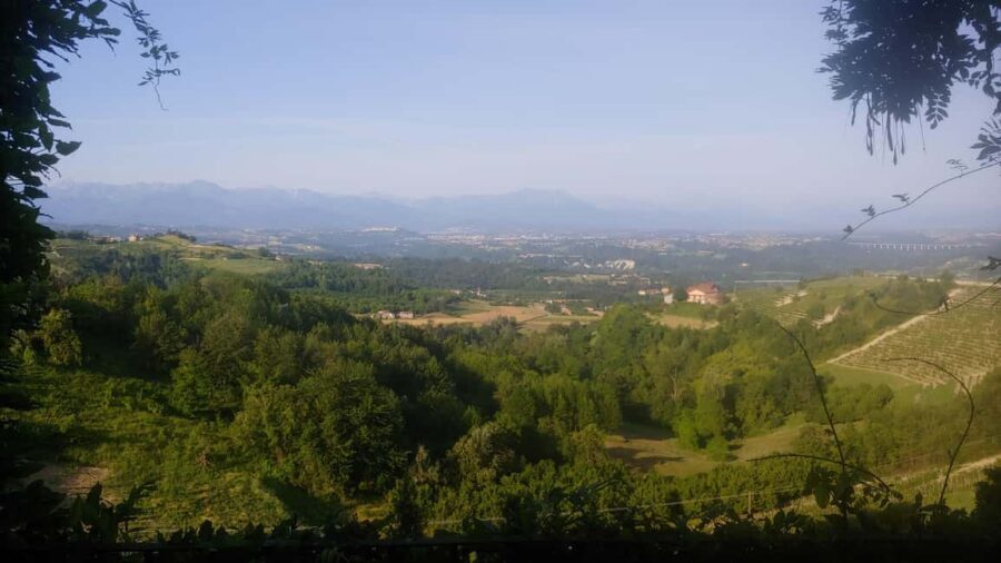 Langhe: Visit to the Vineyard and Historic Cellars with Tasting - Why This Tour Stands Out