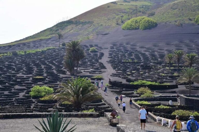 Lanzarote Shopping from Caleta de Fuste (Fuerteventura) - Itinerary Breakdown