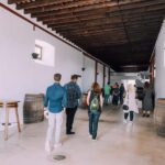 Lanzarote: Vineyard Tour & Wine Tasting with Cheese - Why This Tour Is Worth Considering
