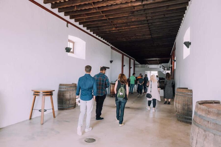 Lanzarote: Vineyard Tour & Wine Tasting with Cheese - Why This Tour Is Worth Considering