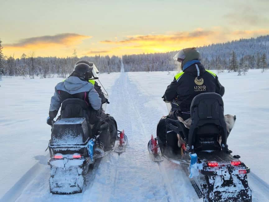 Lapland: Exclusive Private 7h Snowmobile Tour with Guide - Authentic Experiences and Genuine Value