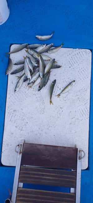 Larnaca: Private Fishing - Traditional Explorer N Vessel - What Makes This Experience Stand Out?
